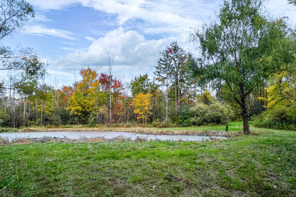 The Pond-390 Ridge Road - 390 Ridge Road